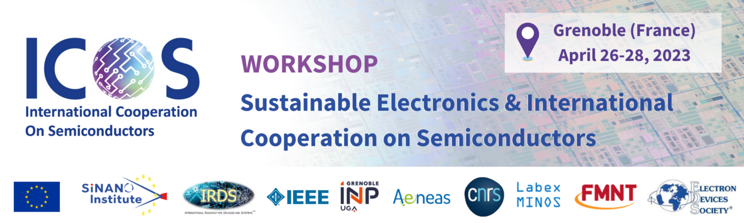 ICOS Workshop - 26th to 28 April, Grenoble - SiNANO